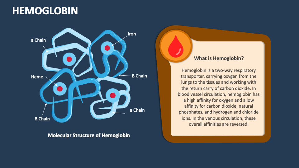 Hemoglobin PowerPoint and Google Slides Template - PPT Slides