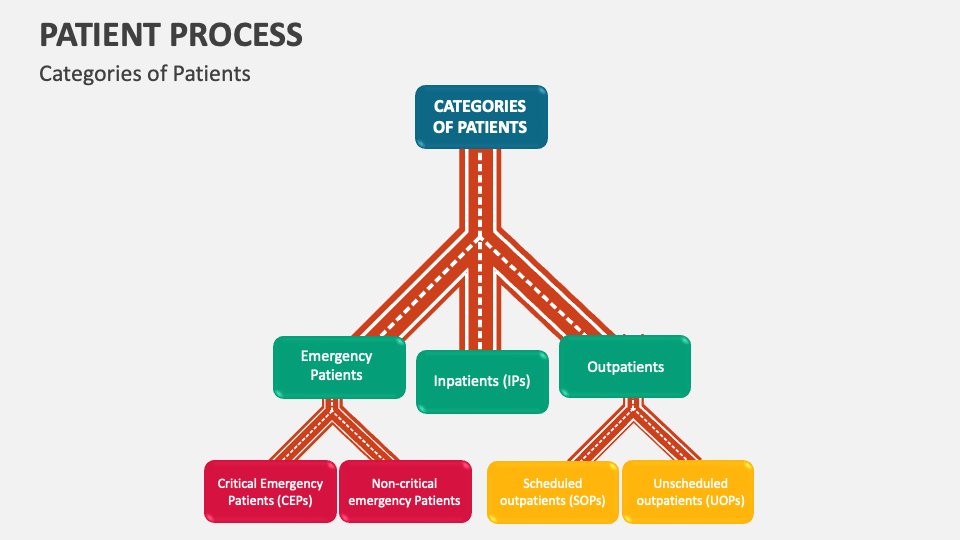 Patient Process Template for PowerPoint and Google Slides - PPT Slides