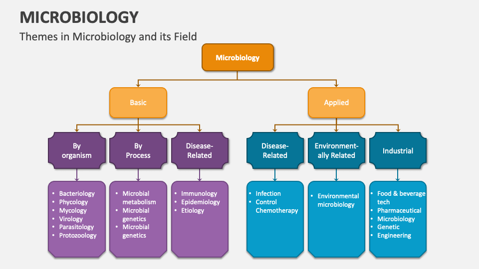 Microbiology PowerPoint and Google Slides Template - PPT Slides