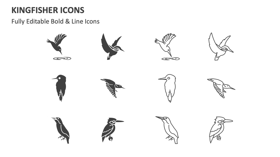 Kingfisher Icons for PowerPoint and Google Slides - PPT Slides
