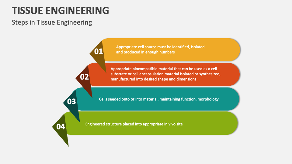 Tissue Engineering Template for PowerPoint and Google Slides - PPT Slides