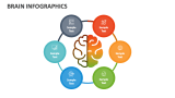 Brain Infographics PowerPoint and Google Slides Template - PPT Slides