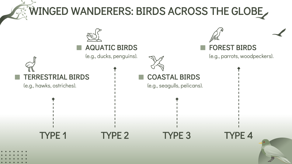 Free - Birds Presentation Template for Google Slides and PowerPoint ...