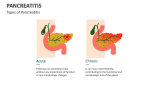 Pancreatitis PowerPoint and Google Slides Template - PPT Slides