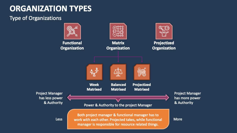 Organization Types PowerPoint and Google Slides Template - PPT Slides