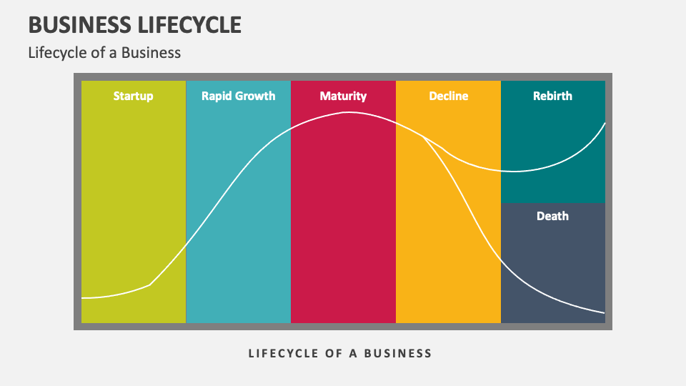 Business Lifecycle Template for PowerPoint and Google Slides - PPT Slides