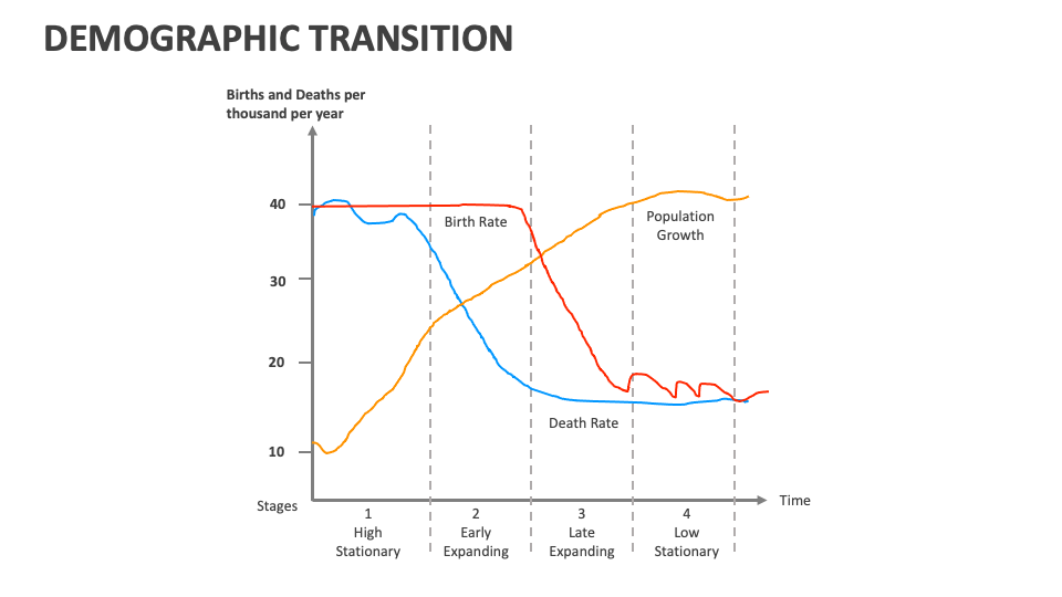 Demographic Transition Template for PowerPoint and Google Slides - PPT ...