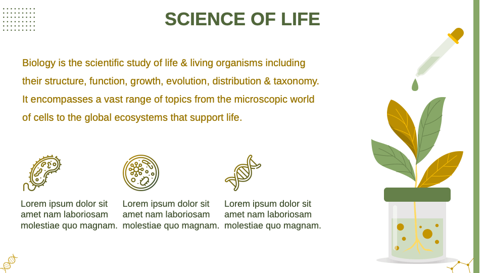Free - Advanced Biology for High School Template for Google Slides and ...