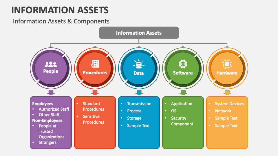 Information Assets PowerPoint and Google Slides Template - PPT Slides