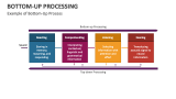 Bottom-Up Processing PowerPoint and Google Slides Template - PPT Slides