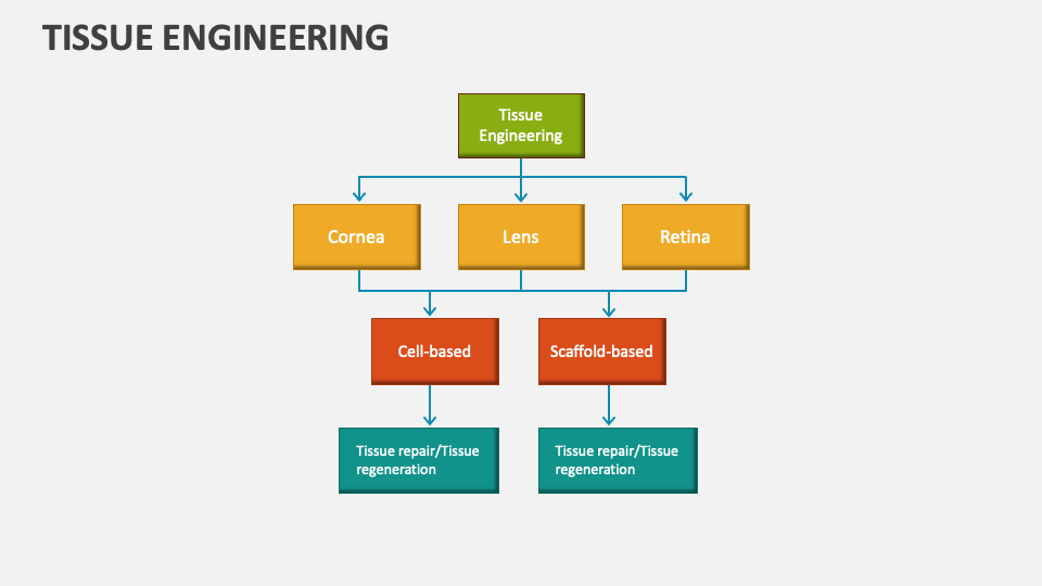 Tissue Engineering Template for PowerPoint and Google Slides - PPT Slides