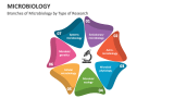 Microbiology PowerPoint and Google Slides Template - PPT Slides