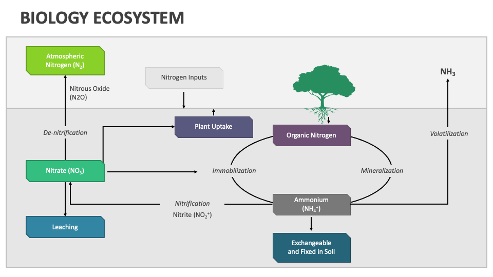 Biology Ecosystem PowerPoint and Google Slides Template - PPT Slides