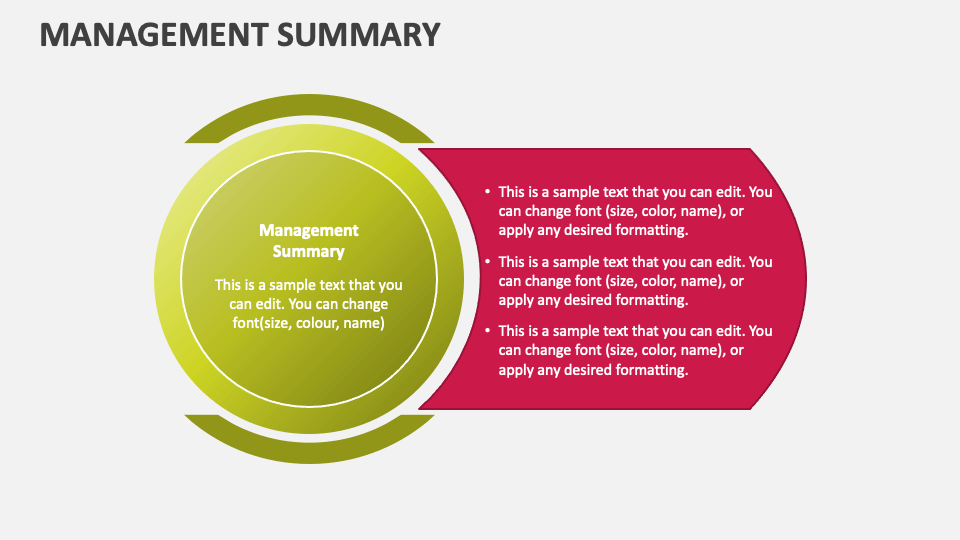 Management Summary PowerPoint and Google Slides Template - PPT Slides