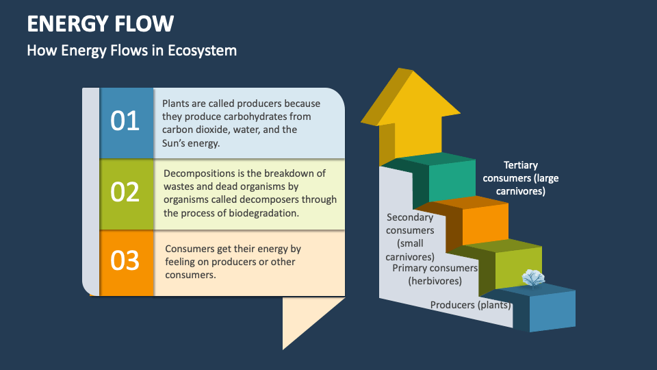 Energy Flow Template for PowerPoint and Google Slides - PPT Slides