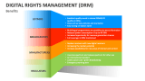 Digital Rights Management (DRM) Template for PowerPoint and Google Slides - PPT Slides
