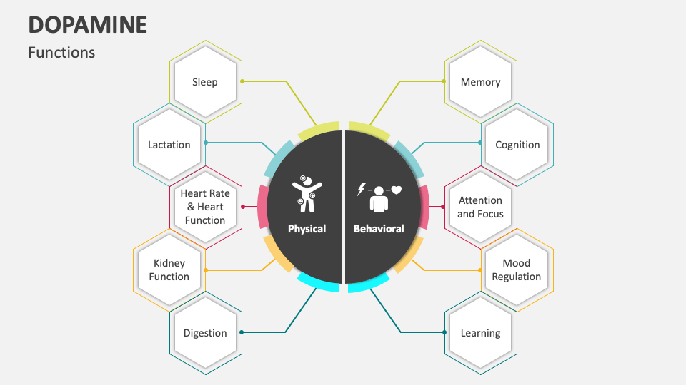Dopamine PowerPoint and Google Slides Template - PPT Slides