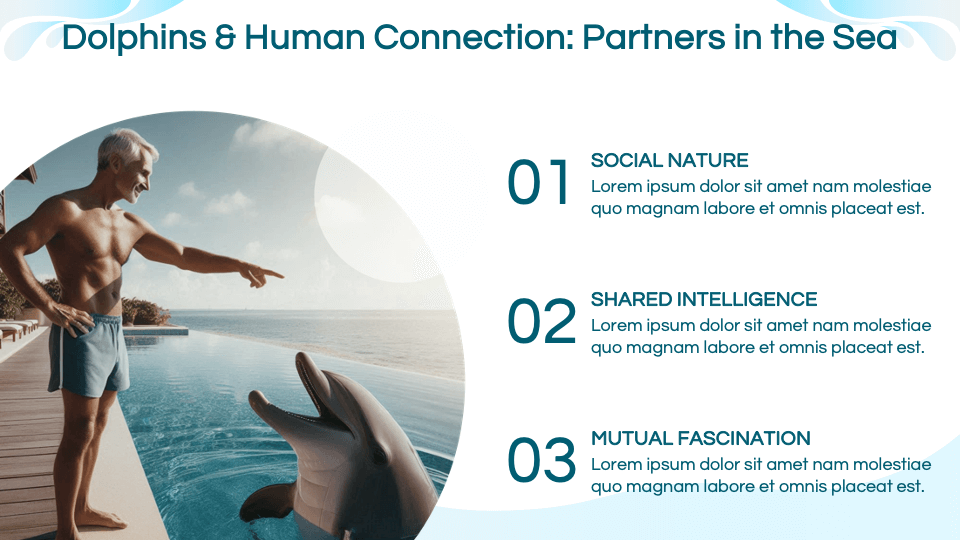 Free - Dolphin Presentation Template for Google Slides and PowerPoint - PPT Slides