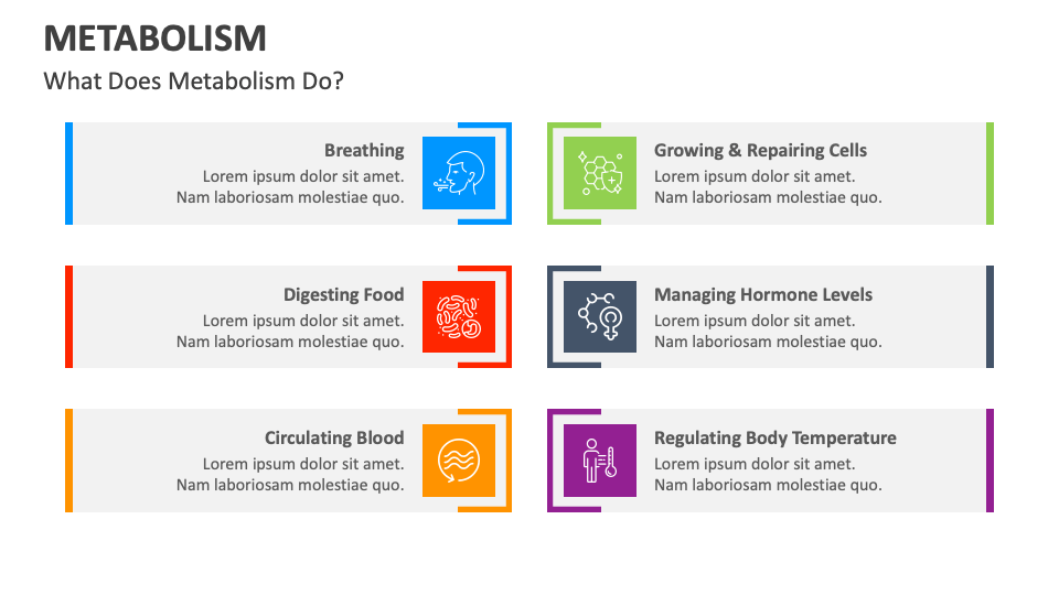 Metabolism Template for Google Slides and PowerPoint - PPT Slides