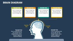 Brain Diagram for PowerPoint and Google Slides - PPT Slides