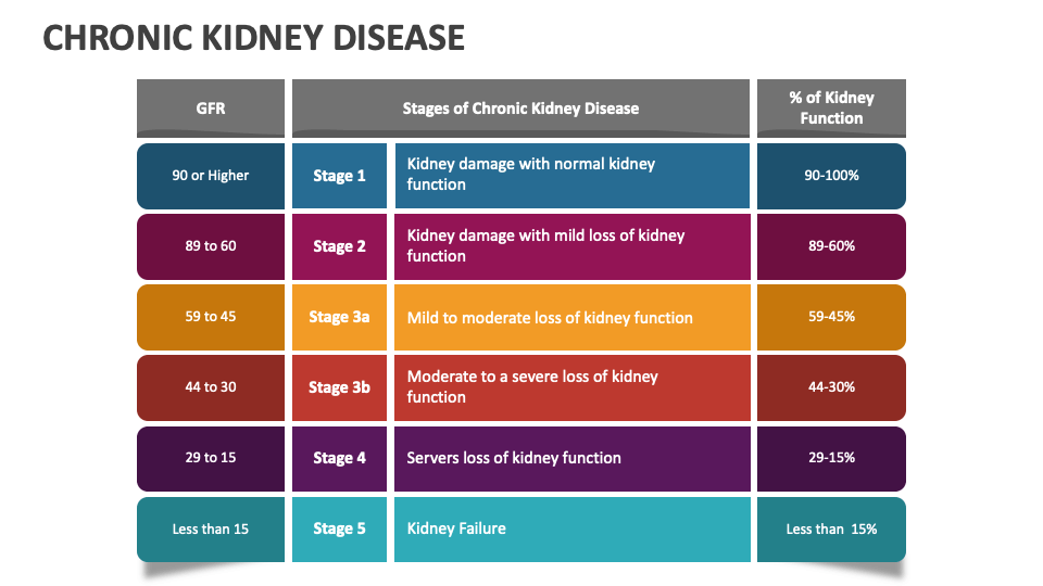 Chronic Kidney Disease PowerPoint and Google Slides Template - PPT Slides