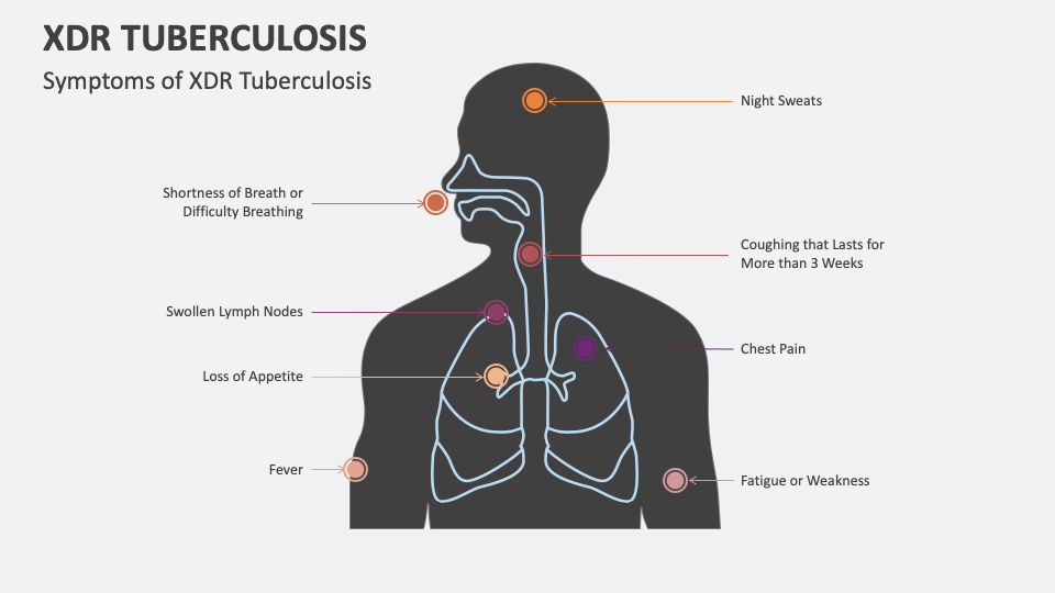 XDR Tuberculosis PowerPoint and Google Slides Template - PPT Slides
