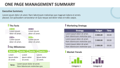 One Page Management Summary Template for Google Slides and PowerPoint ...