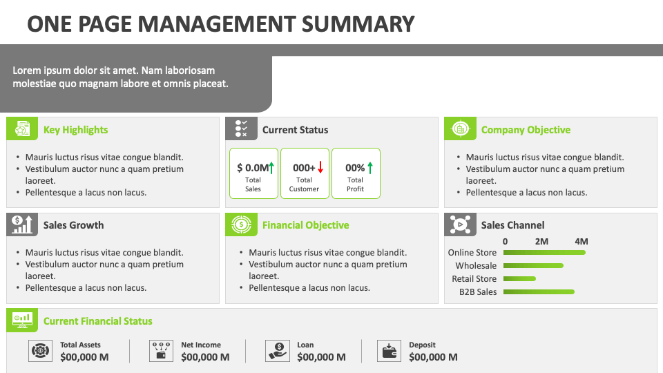 One Page Management Summary Template for Google Slides and PowerPoint ...
