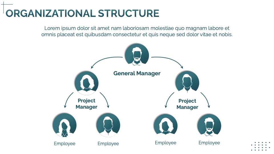 Organization Profile Template for Google Slides and PowerPoint - PPT Slides