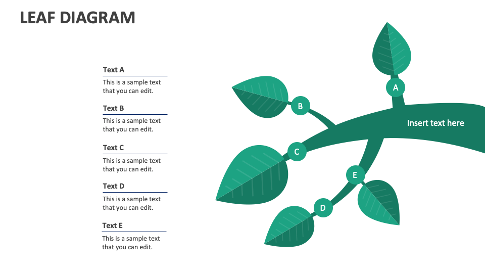 Leaf Diagram Template for PowerPoint and Google Slides - PPT Slides