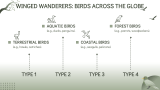 Free - Birds Presentation Template for Google Slides and PowerPoint ...