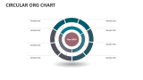 Circular ORG Chart for PowerPoint and Google Slides - PPT Slides