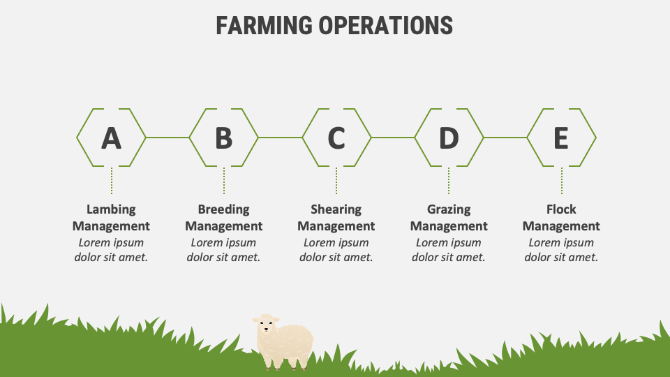 Sheep Farming Business Plan PowerPoint and Google Slides Template - PPT ...