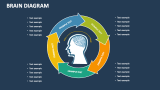 Brain Diagram for PowerPoint and Google Slides - PPT Slides