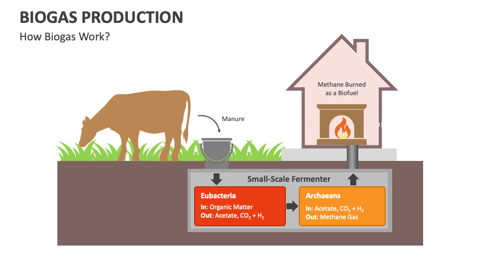 Biogas Production PowerPoint and Google Slides Template - PPT Slides
