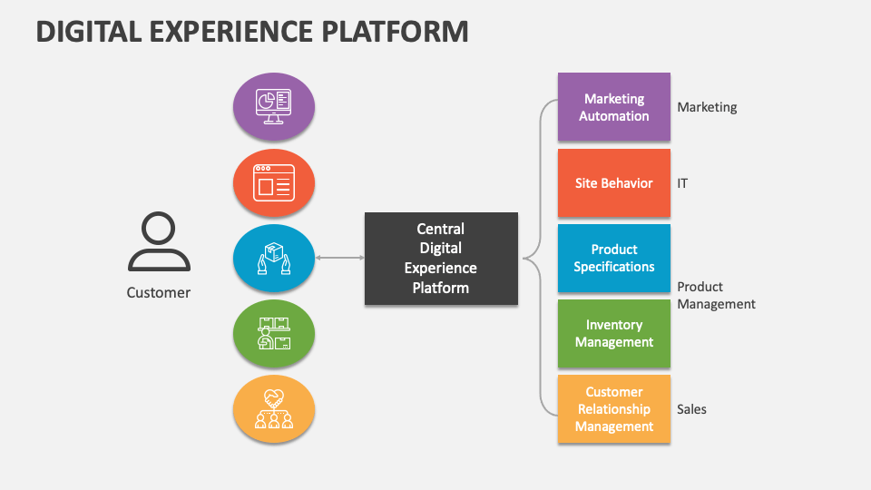 Digital Experience Platform PowerPoint and Google Slides Template - PPT Slides
