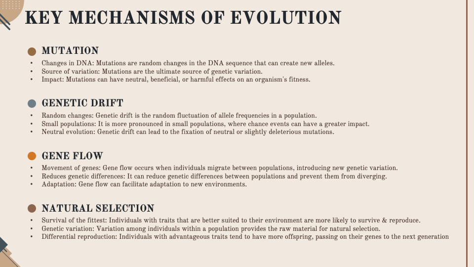 Theories of Evolution Template for Google Slides and PowerPoint - PPT ...