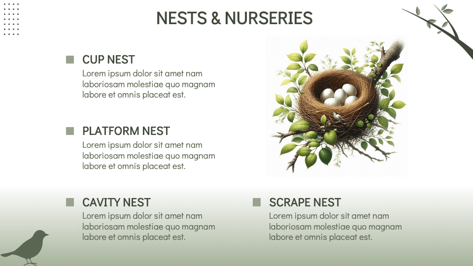 Free - Birds Presentation Template for Google Slides and PowerPoint ...