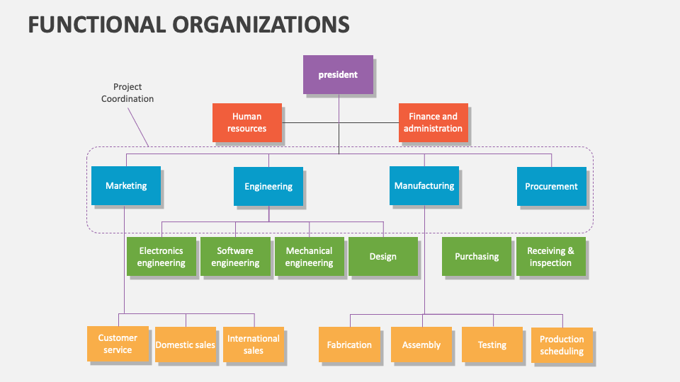 Functional Organizations Template for PowerPoint and Google Slides ...