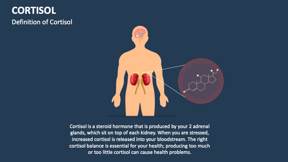 Cortisol PowerPoint and Google Slides Template - PPT Slides