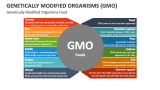 Genetically Modified Organisms (GMO) Template for PowerPoint and Google Slides - PPT Slides