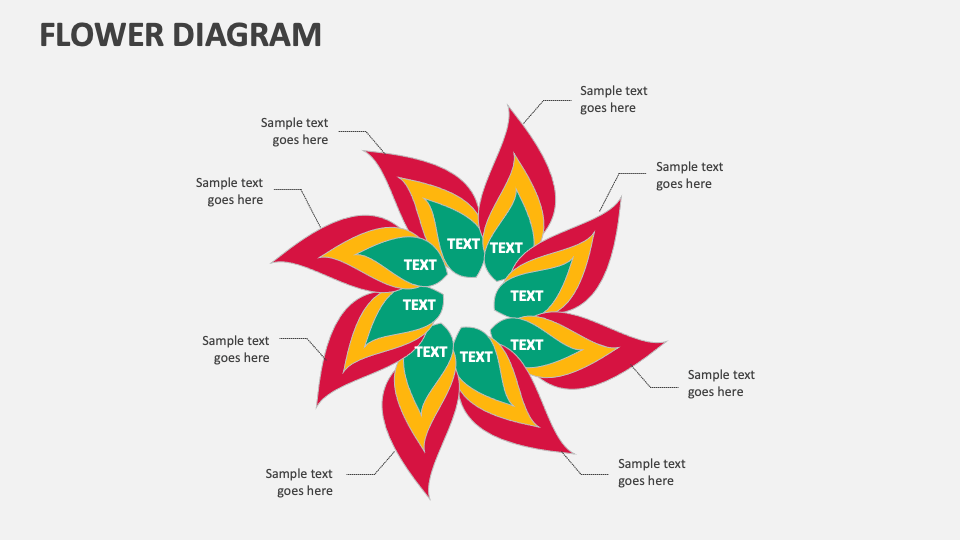 Flower Diagram Template for PowerPoint and Google Slides - PPT Slides