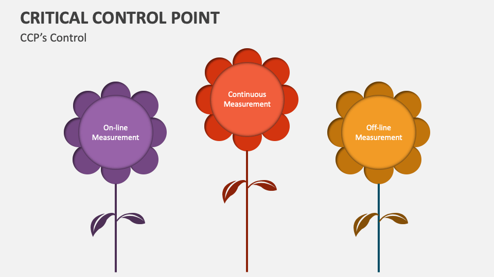 Critical Control Point PowerPoint and Google Slides Template - PPT Slides