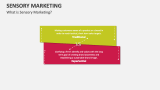 Sensory Marketing Template for PowerPoint and Google Slides - PPT Slides