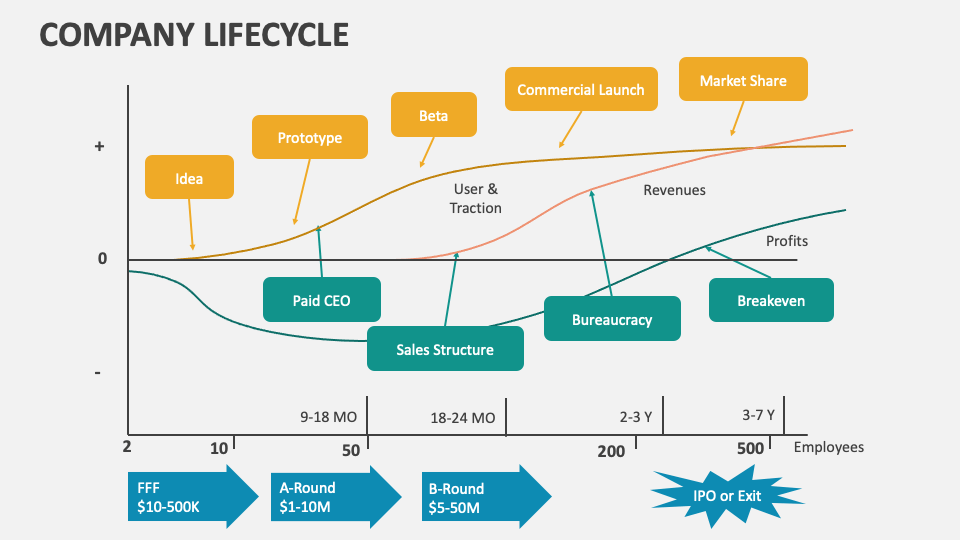 Company Lifecycle PowerPoint and Google Slides Template - PPT Slides
