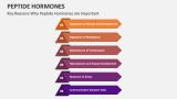 Peptide Hormones PowerPoint and Google Slides Template - PPT Slides