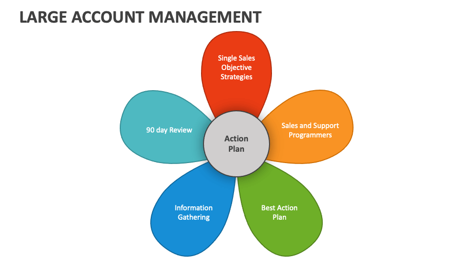 Large Account Management PowerPoint and Google Slides Template - PPT Slides