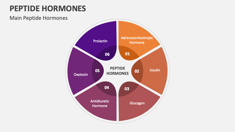 Peptide Hormones PowerPoint and Google Slides Template - PPT Slides