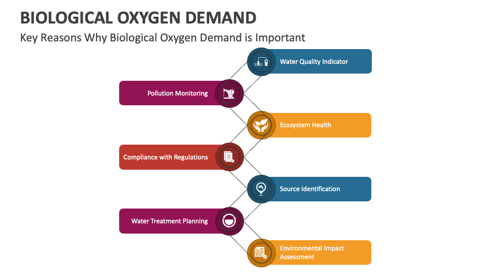 Biological Oxygen Demand PowerPoint and Google Slides Template - PPT Slides