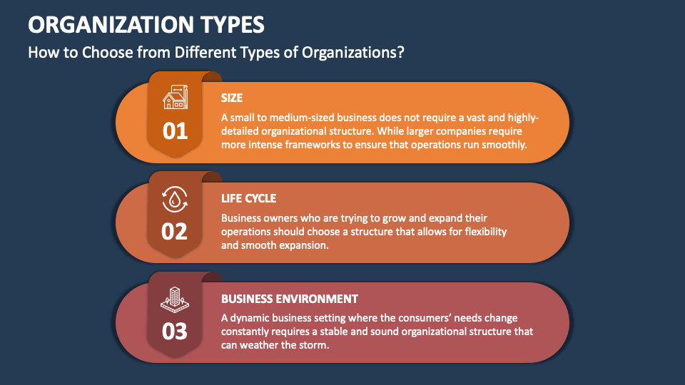 Organization Types PowerPoint and Google Slides Template - PPT Slides